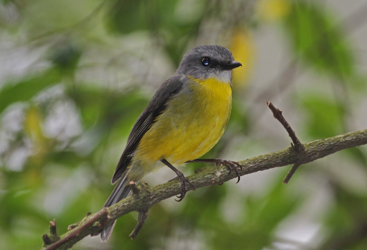 Catchment-scale, community-led, water quality and environmental ...